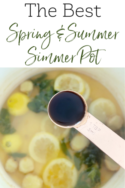 Summer Simmer Pot Recipe | Simmering Potpourri for Spring & Summer ...